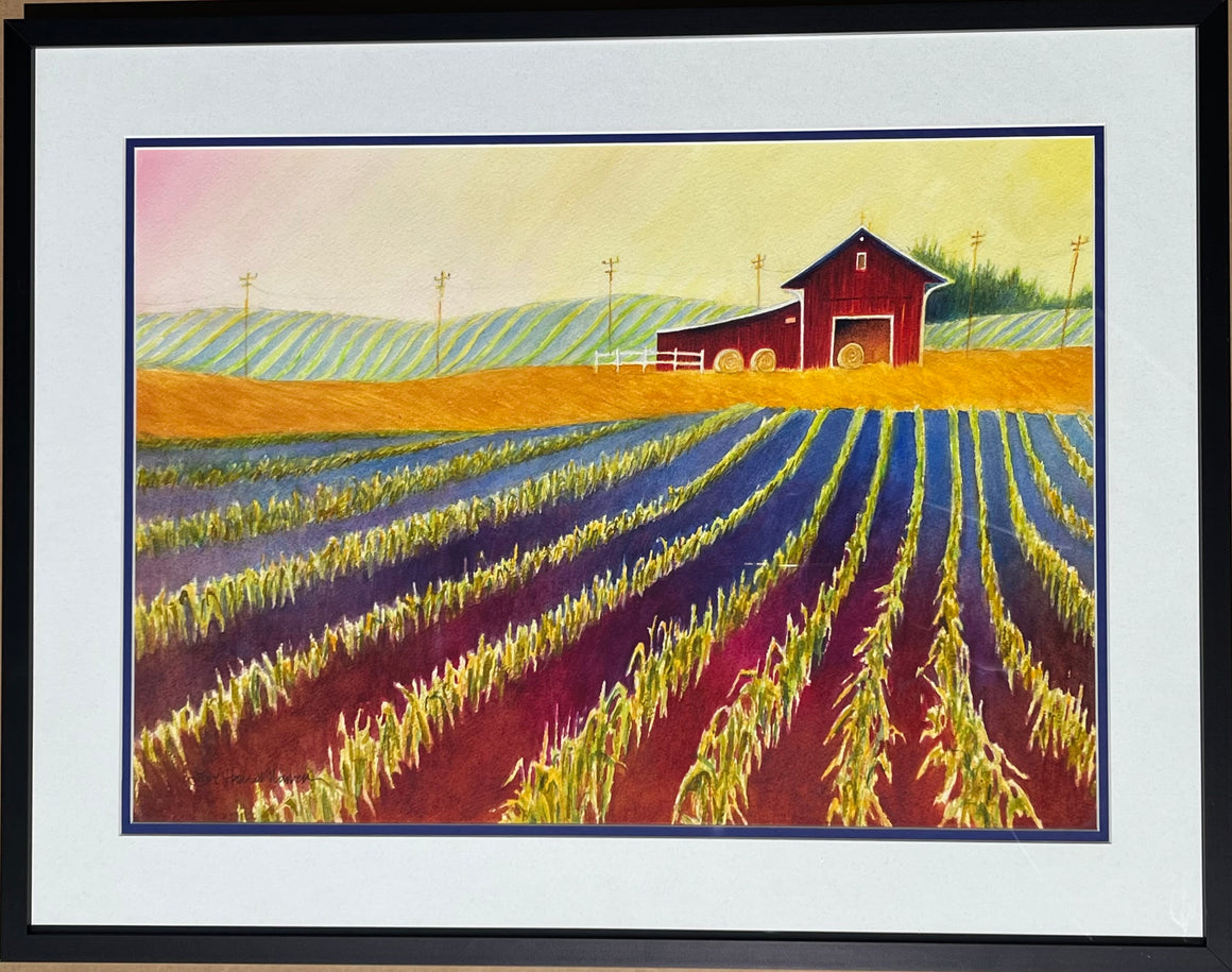 Outside the Lines Art Gallery Dubuque and Galena Online Store