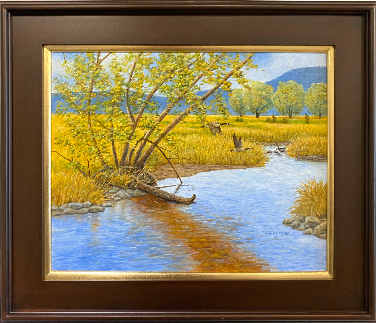 Lodi Landing by John McGee – Outside the Lines Art Gallery