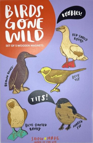 Birds Gone Wild Magnet Set by Snowmade – Outside the Lines Art Gallery