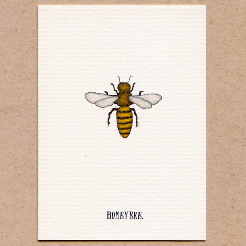 Honeybee Enclosure Card by Beth Mueller – Outside the Lines Art Gallery