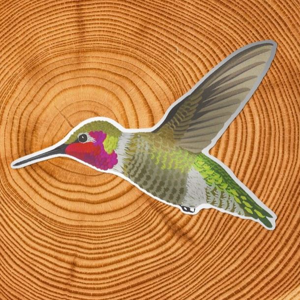 Hummingbird Sticker by Little Gold Fox Designs – Outside the Lines Art ...