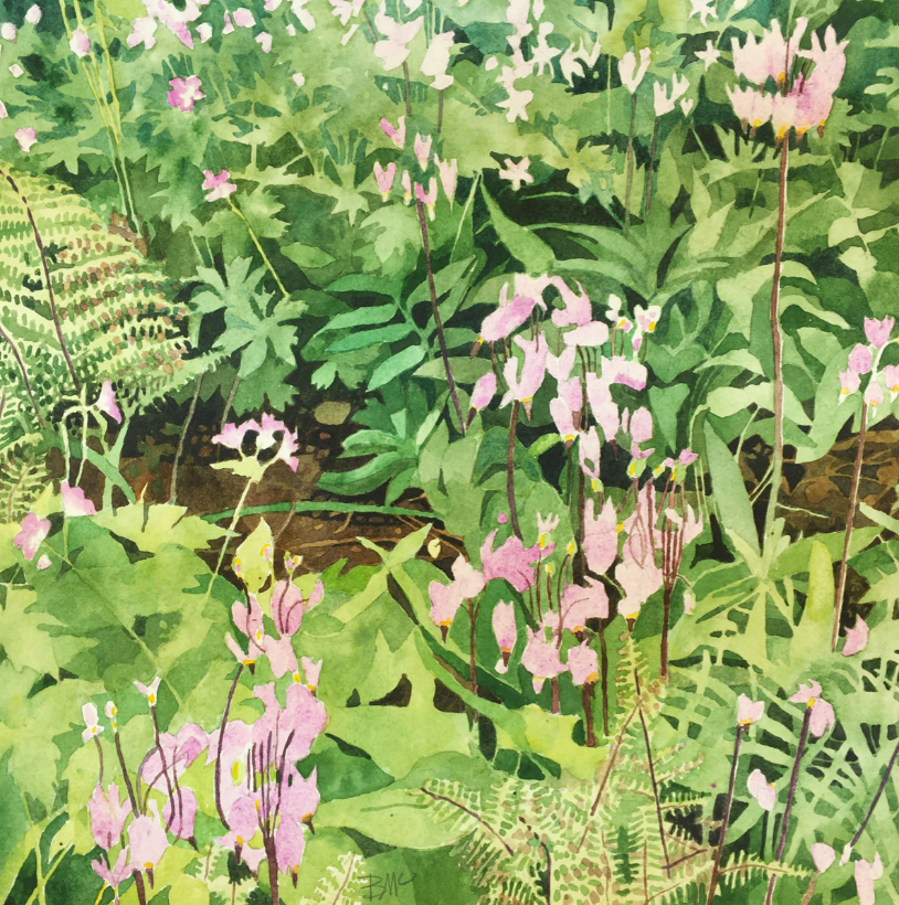 Shooting Star and Cranesbill by Brian McCormick – Outside the Lines Art ...